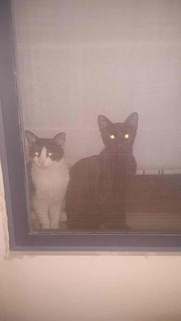 Malta, or the end of chapter 1 – Luke, around the world.