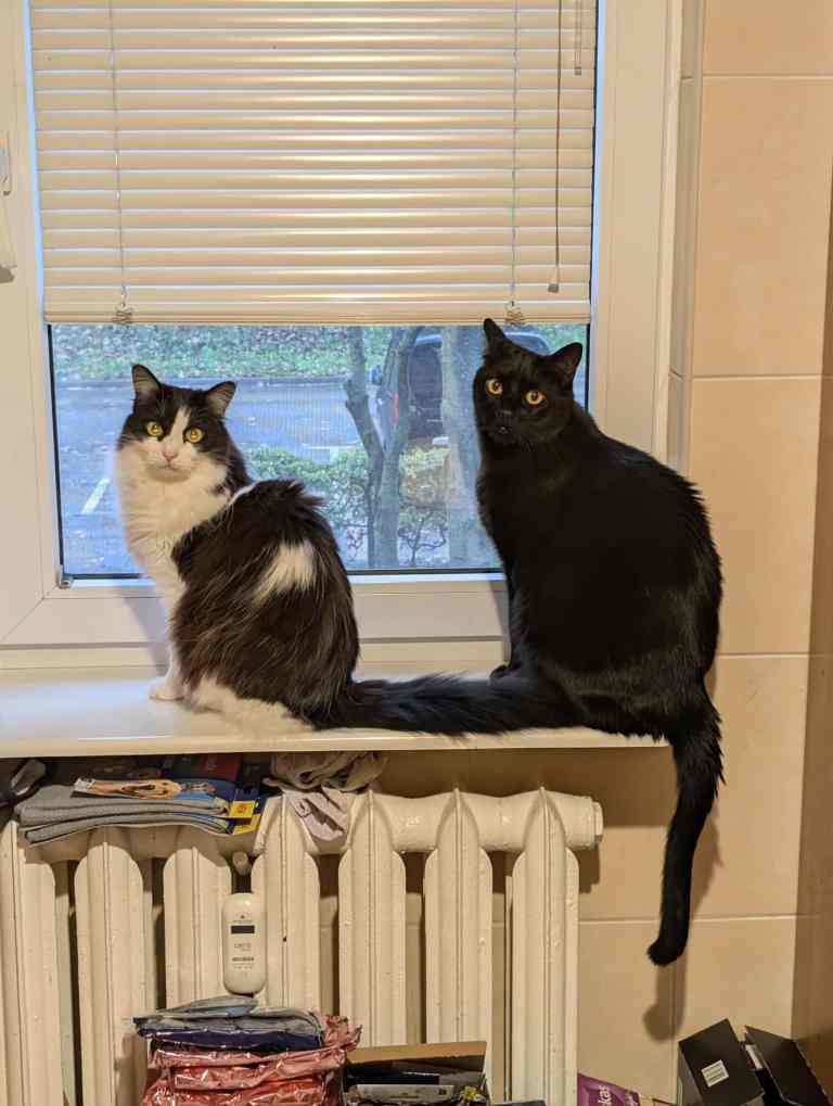 Malta, or the end of chapter 1 – Luke, around the world.